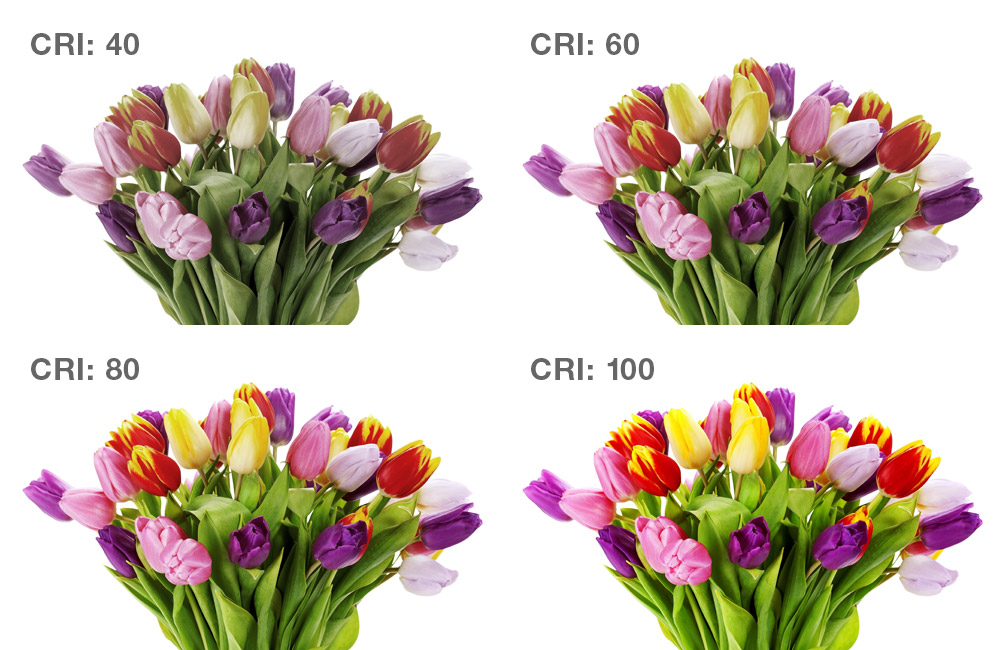 Light And Color - VAK LIGHTING